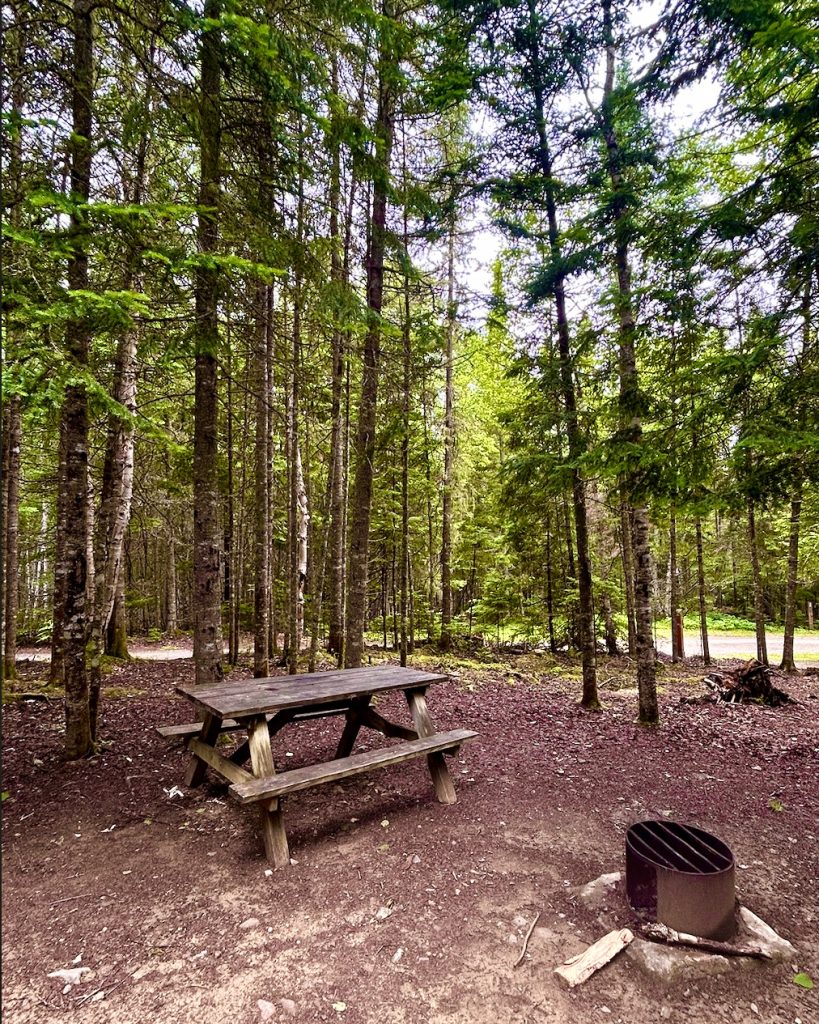 Is Mount Carleton Provincial Park Worth Visiting? Everything You Need ...