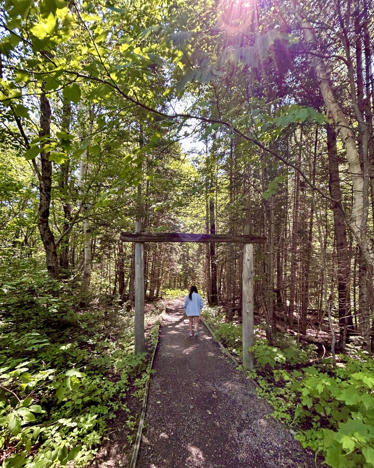 Is Mount Carleton Provincial Park Worth Visiting? Everything You Need ...