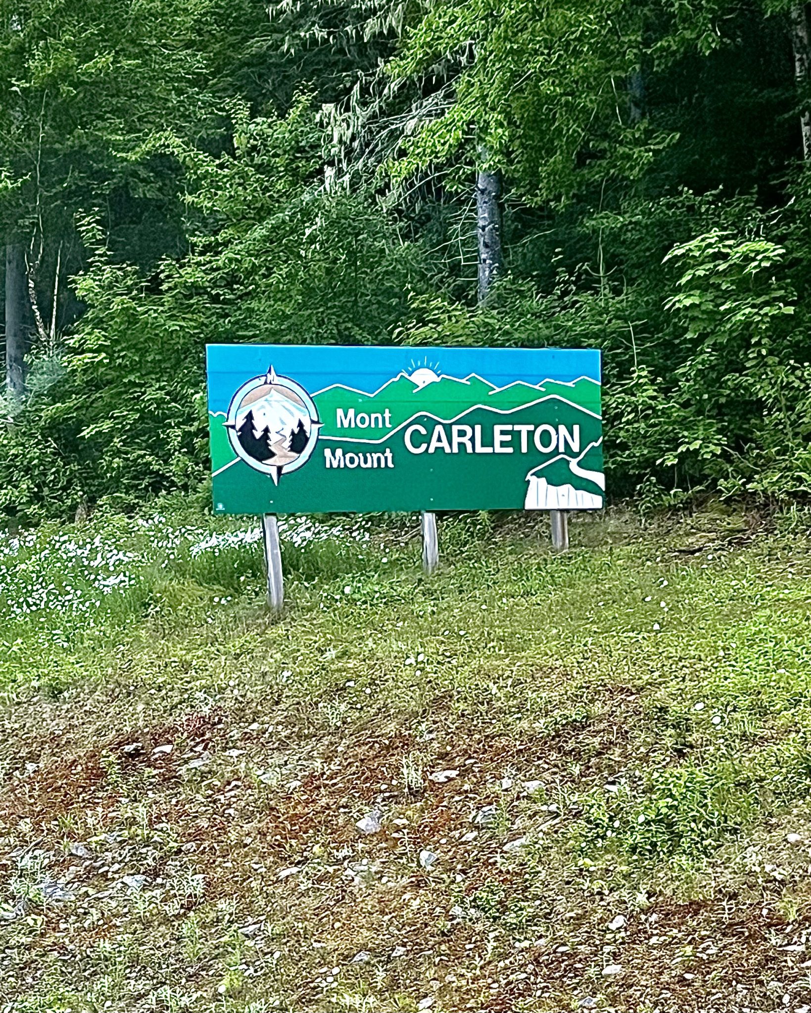 Is Mount Carleton Provincial Park Worth Visiting? Everything You Need ...